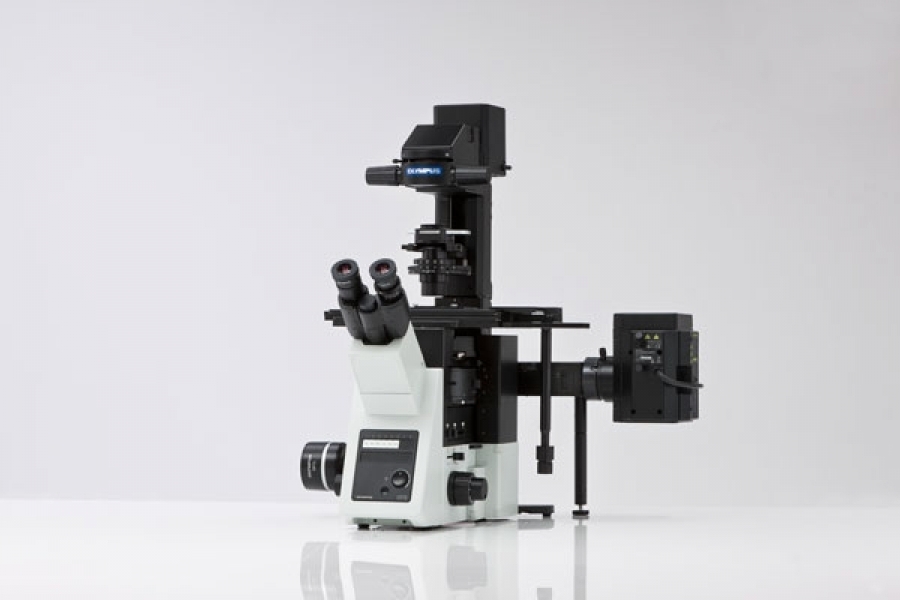 IX73中高階活細胞研究用倒立顯微鏡 - 聖川實業有限公司 - 聖川實業有限公司